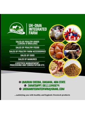 Alabi Gideon Ehizokhale - Akrogi Agro Farm - african food changemakers ...