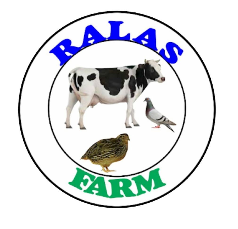 Lawan Haruna — Ralas Farming And General Enterprises | African Food ...