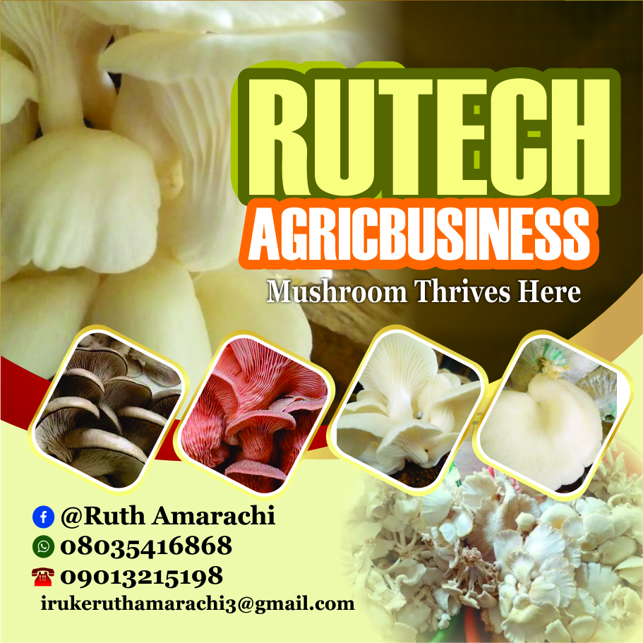 Ruth Amarachi Iruke — Rutech Agribusiness | African Food Changemakers